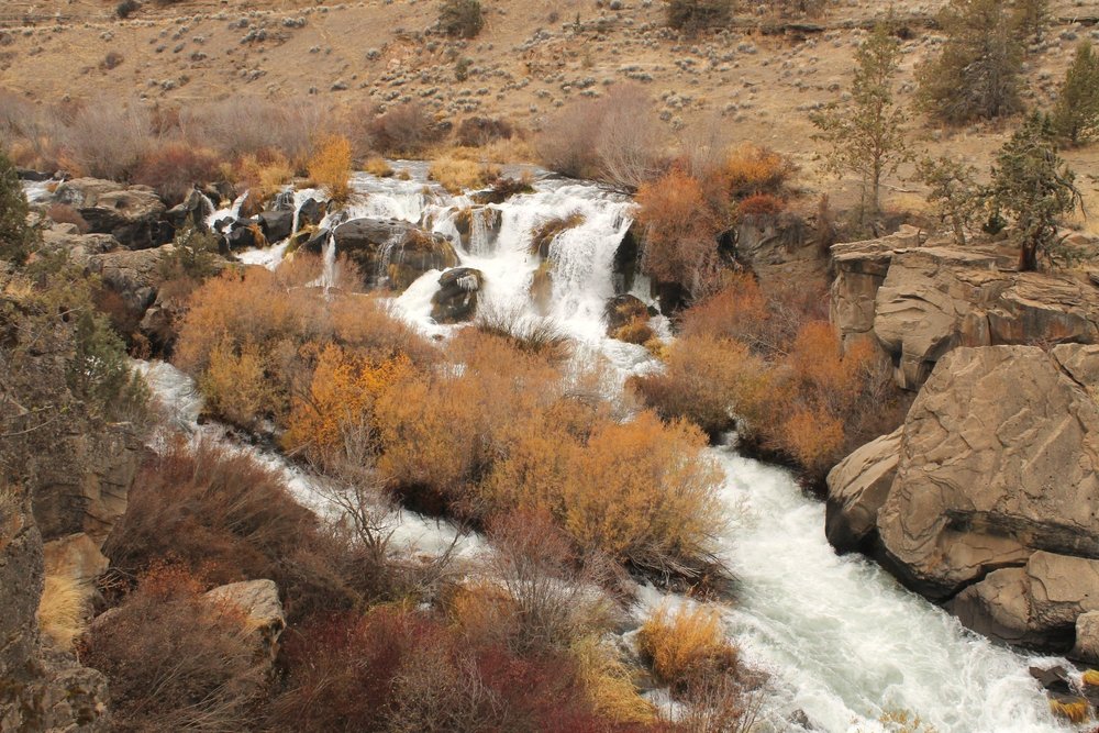 20 Incredible Short Hikes near Bend — Pines and Vines