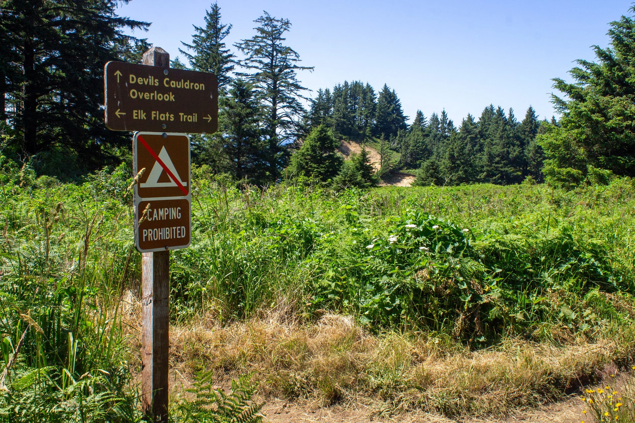 Hike the Elk Flats Trail to Devils Cauldron — Pines and Vines