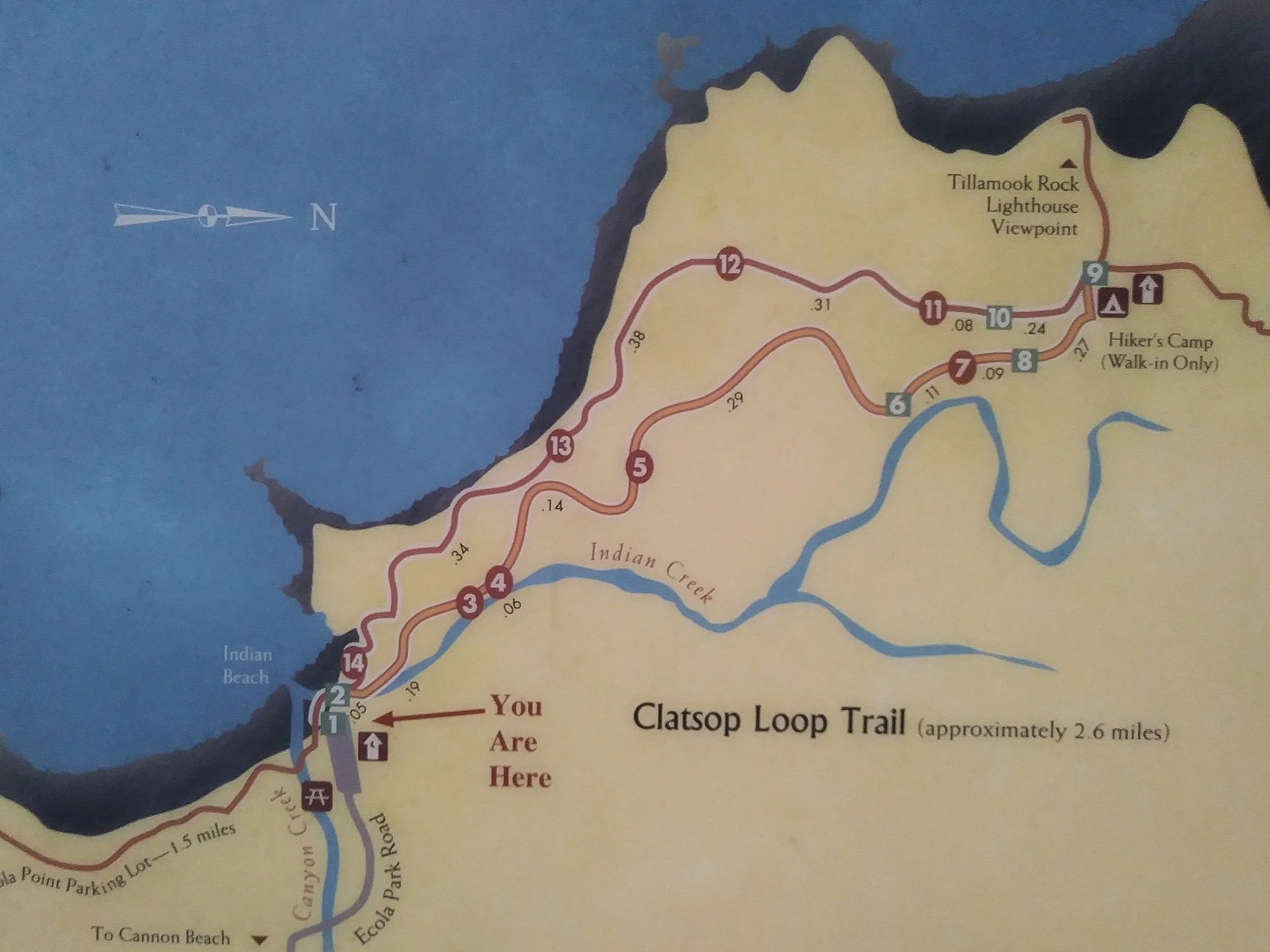 Ecola State Park and the Clatsop Loop Trail — Pines and Vines — Pines ...