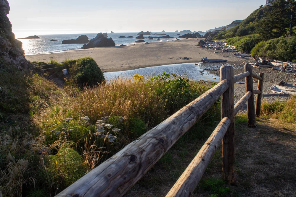 Quick Guide to Harris Beach State Park — Pines and Vines