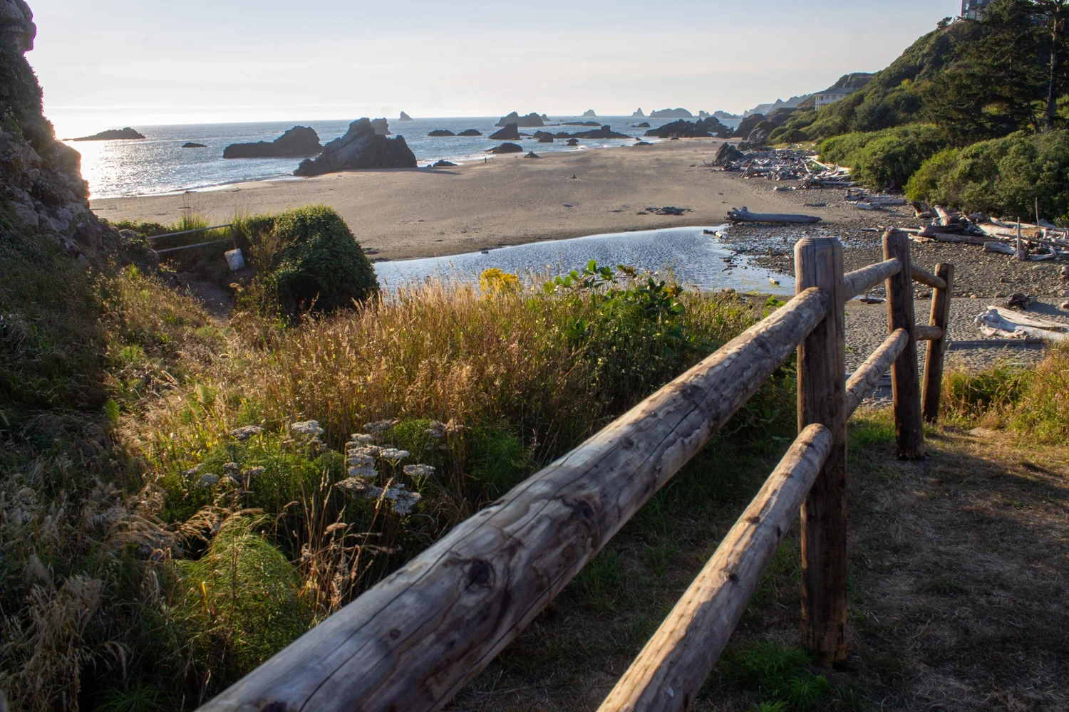 Quick Guide to Harris Beach State Park — Pines and Vines