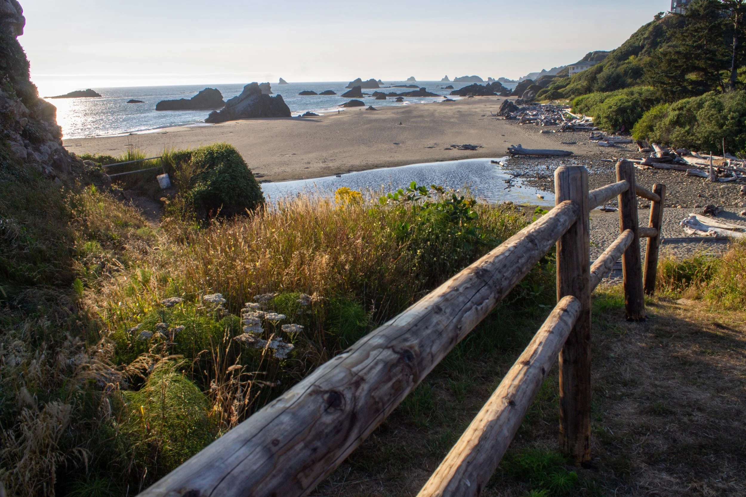Quick Guide to Harris Beach State Park — Pines and Vines