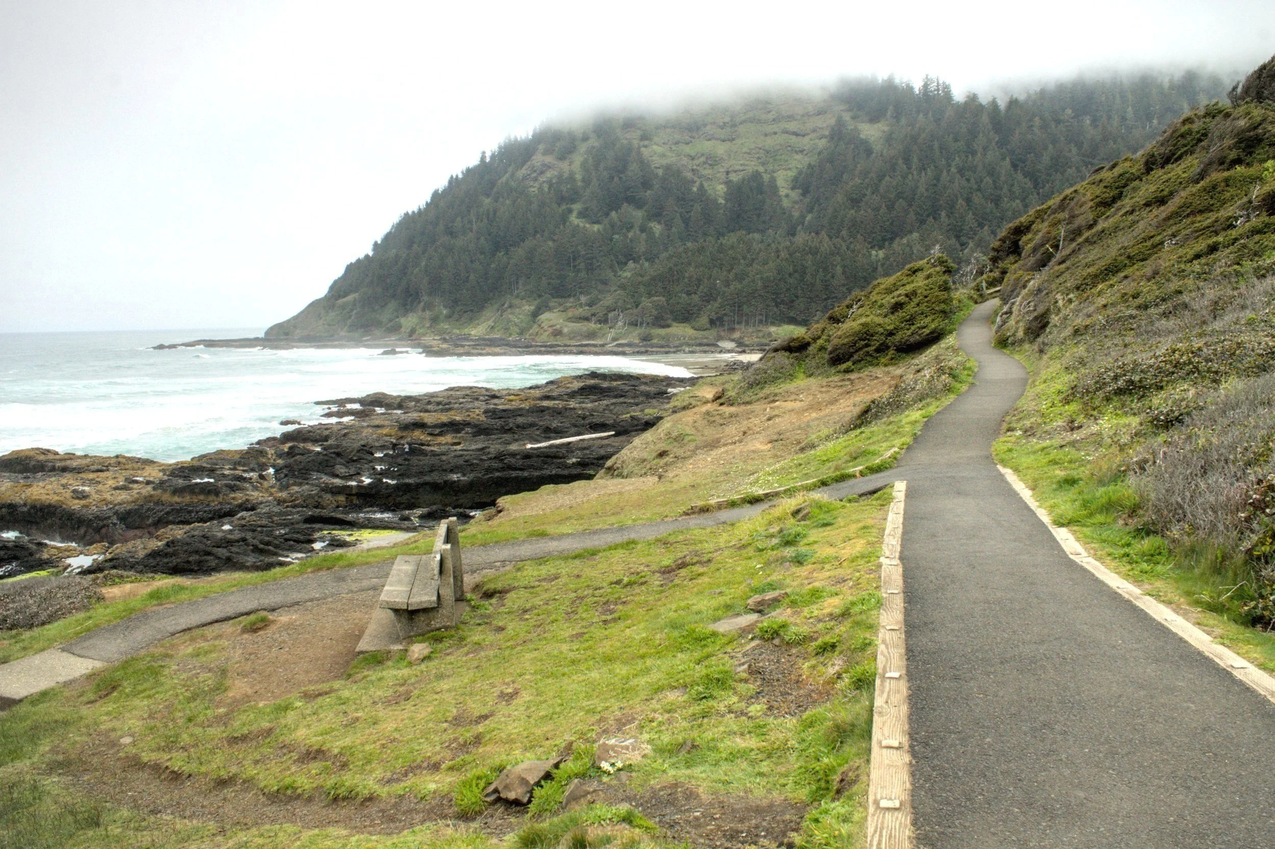 How to Visit Cape Perpetua by the Tide — Pines and Vines