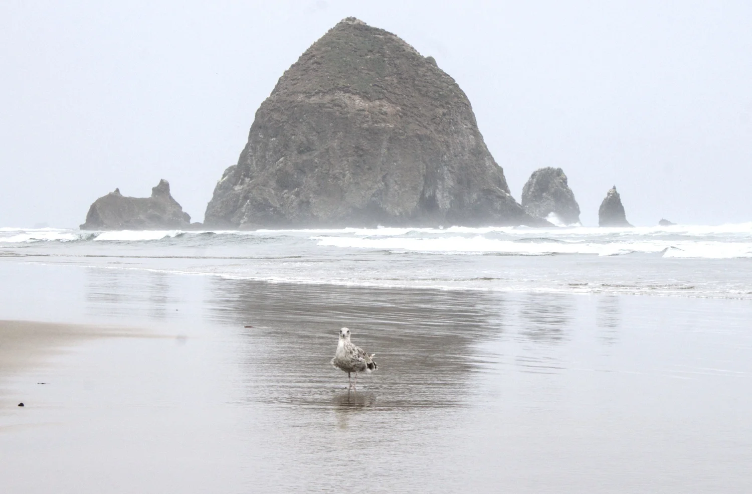20 Best Things to Do in Cannon Beach — Pines and Vines