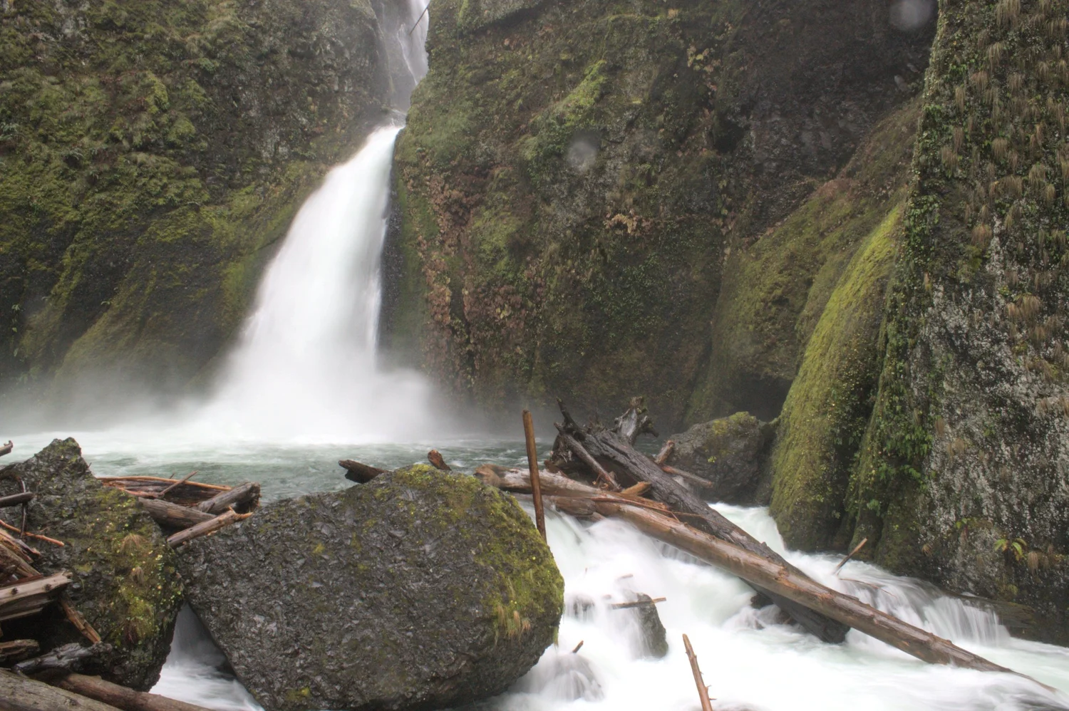 Hike to Wahclella Falls — Pines and Vines