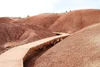 Oregon’s Painted Hills: Complete Visitor’s Guide — Pines and Vines