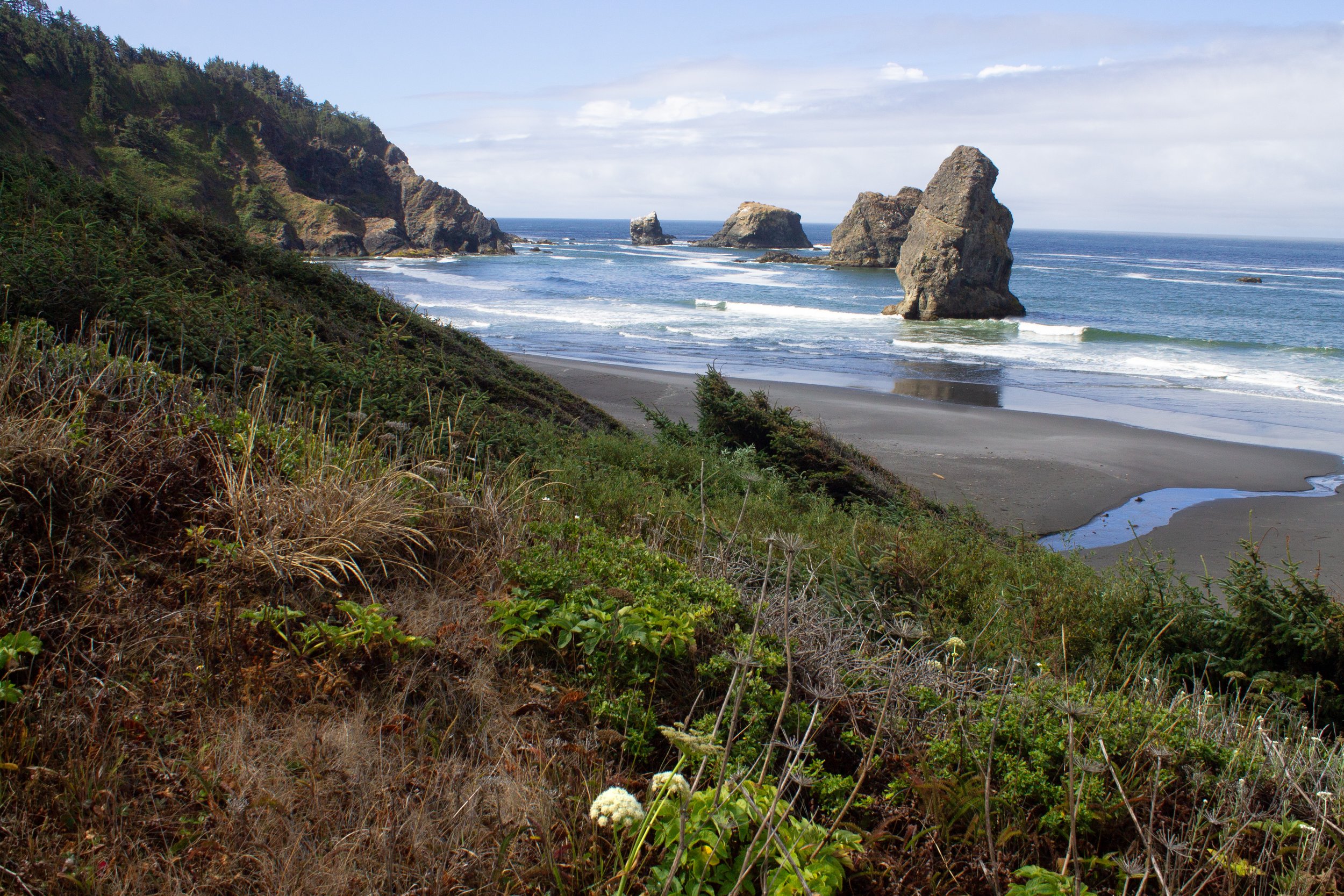 10 Fun Things to Do in Brookings, Oregon — Pines and Vines