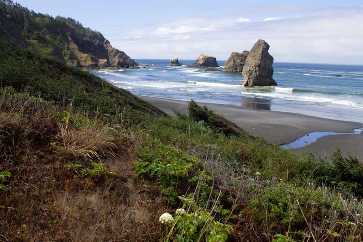 10 Fun Things to Do in Brookings, Oregon — Pines and Vines