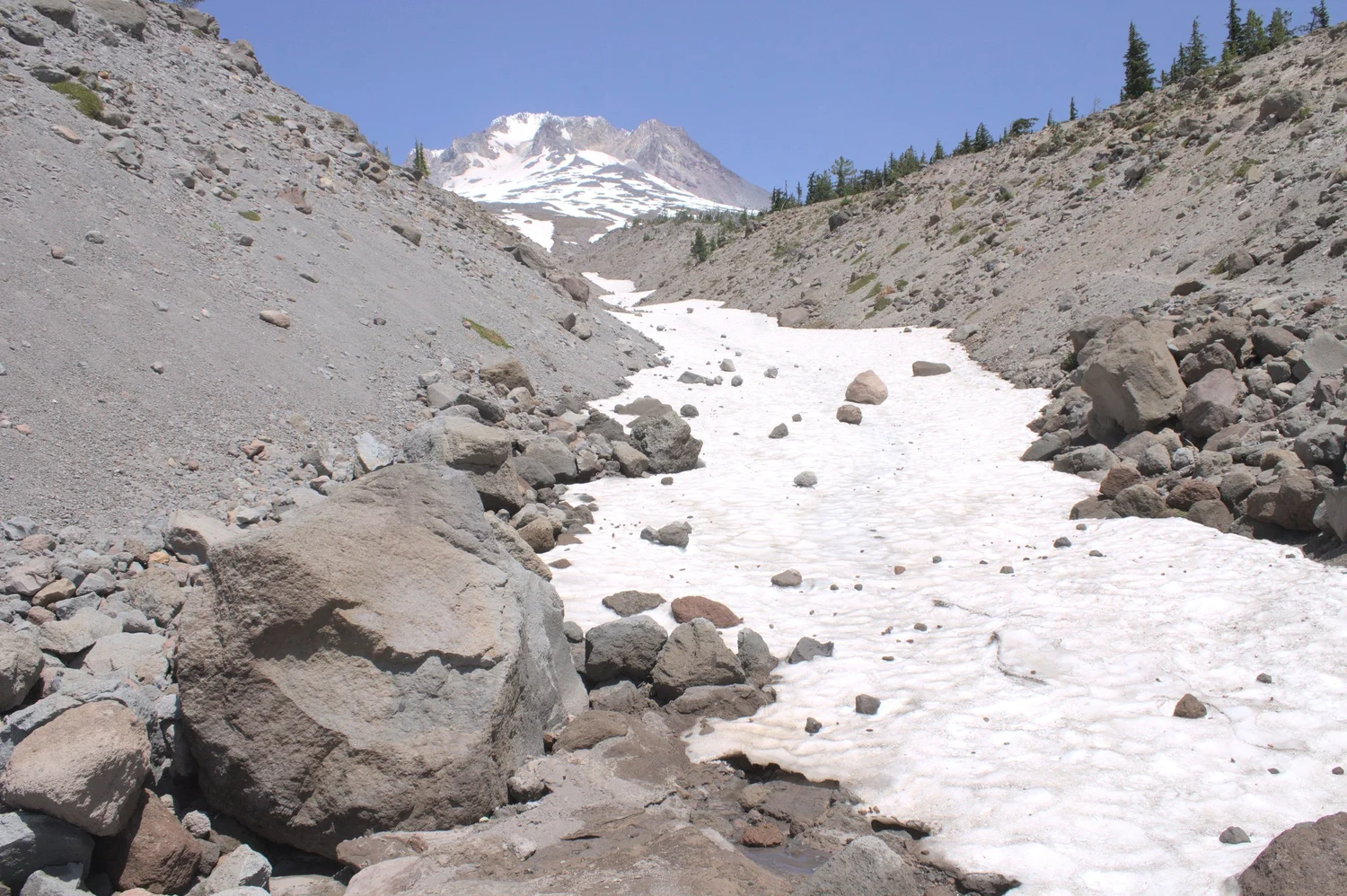 Hike to Zigzag Canyon Overlook on Mt Hood — Pines and Vines