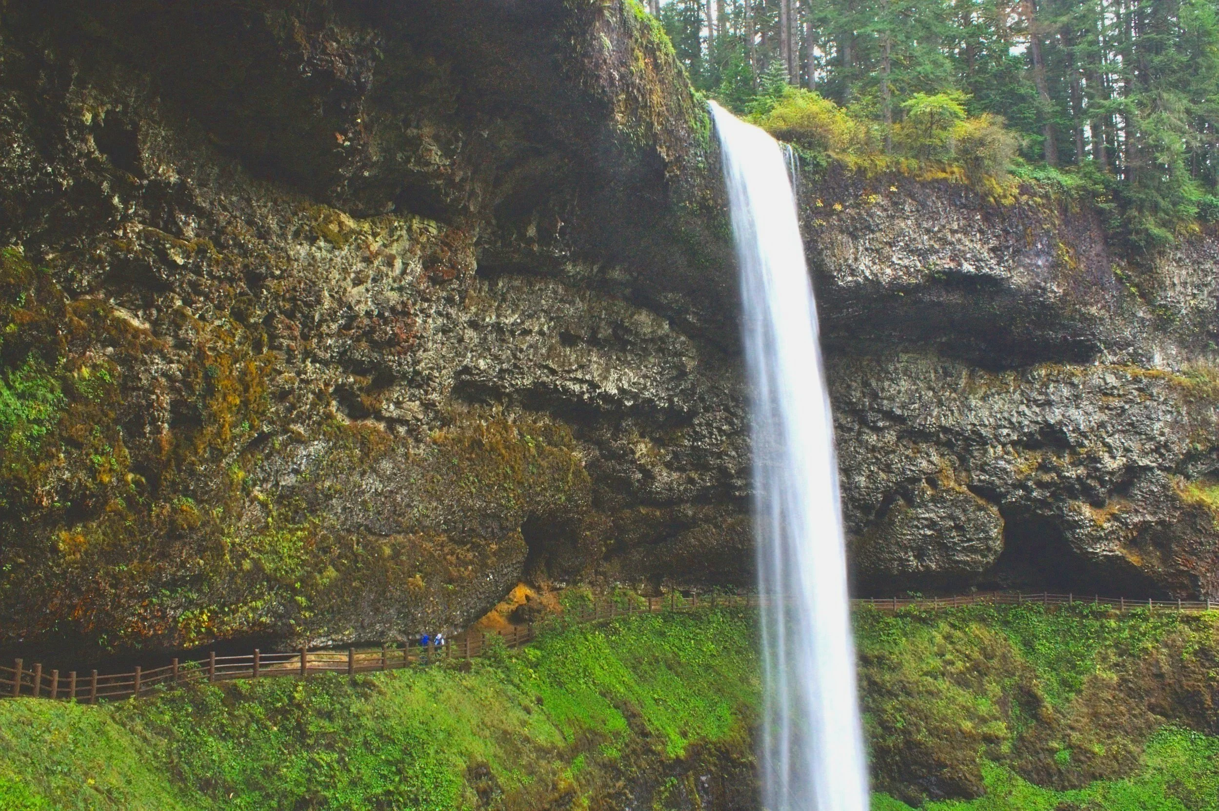 11 Best Snow-Free Winter Hikes near Portland — Pines and Vines — Pines ...