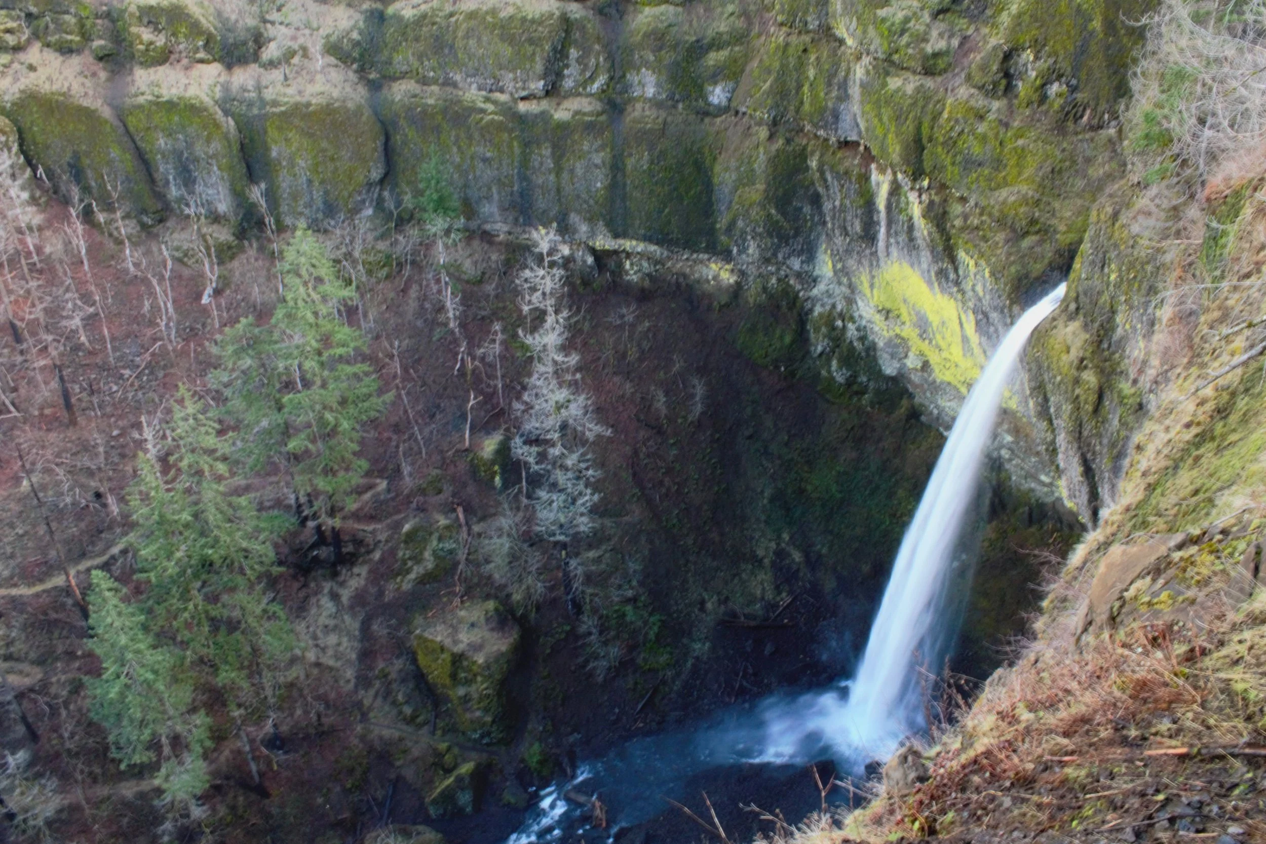 Hike to Elowah Falls and Upper McCord Creek Falls — Pines and Vines ...