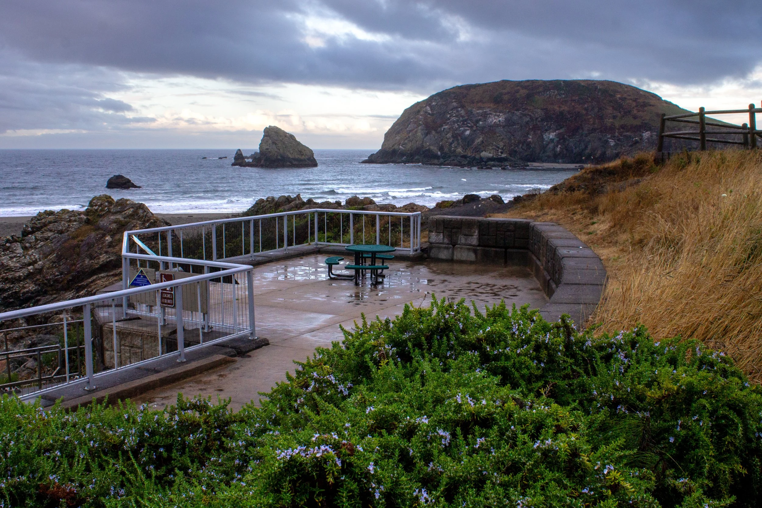 Quick Guide to Harris Beach State Park — Pines and Vines