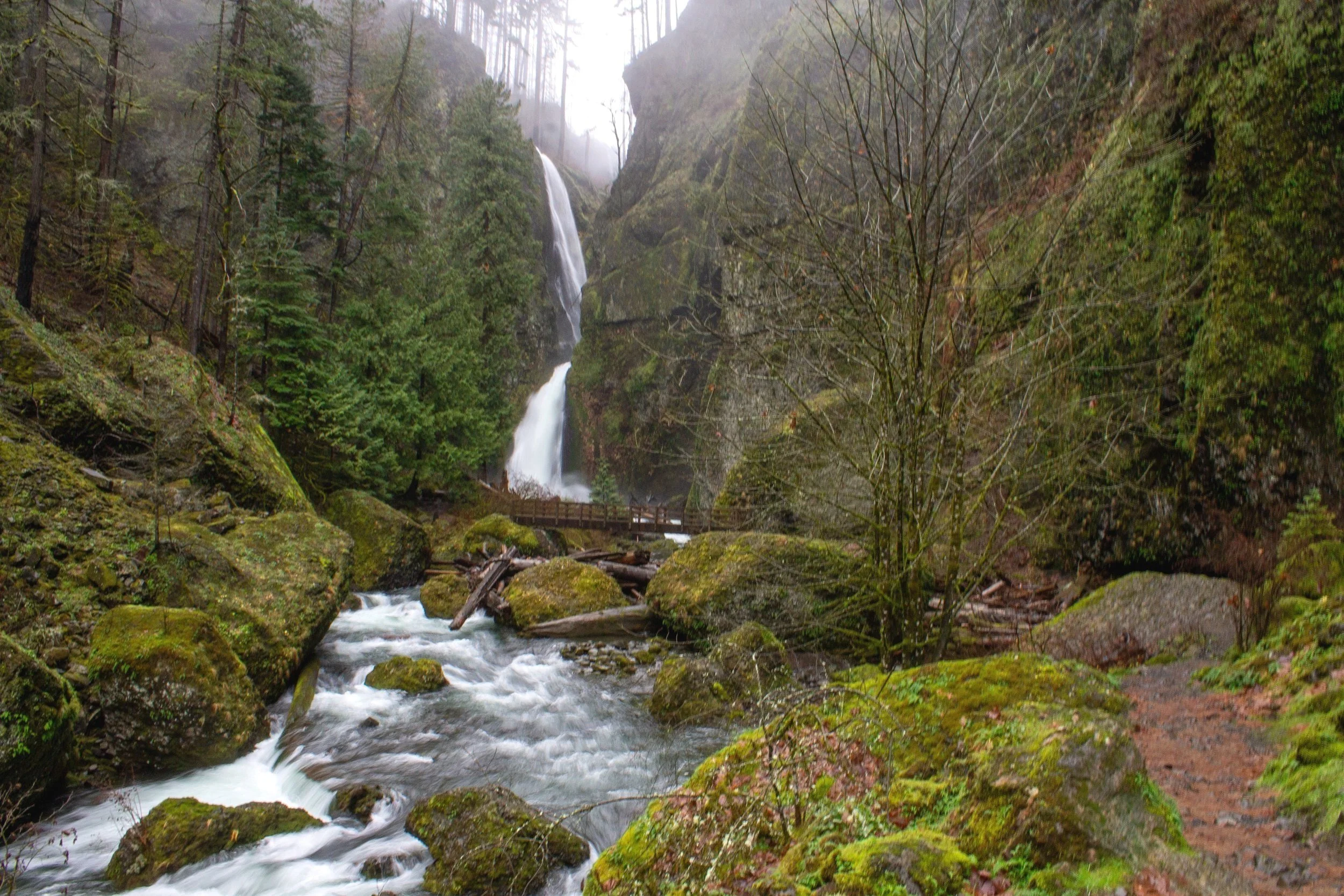 20 Best Waterfall Hikes Near Portland — Pines and Vines