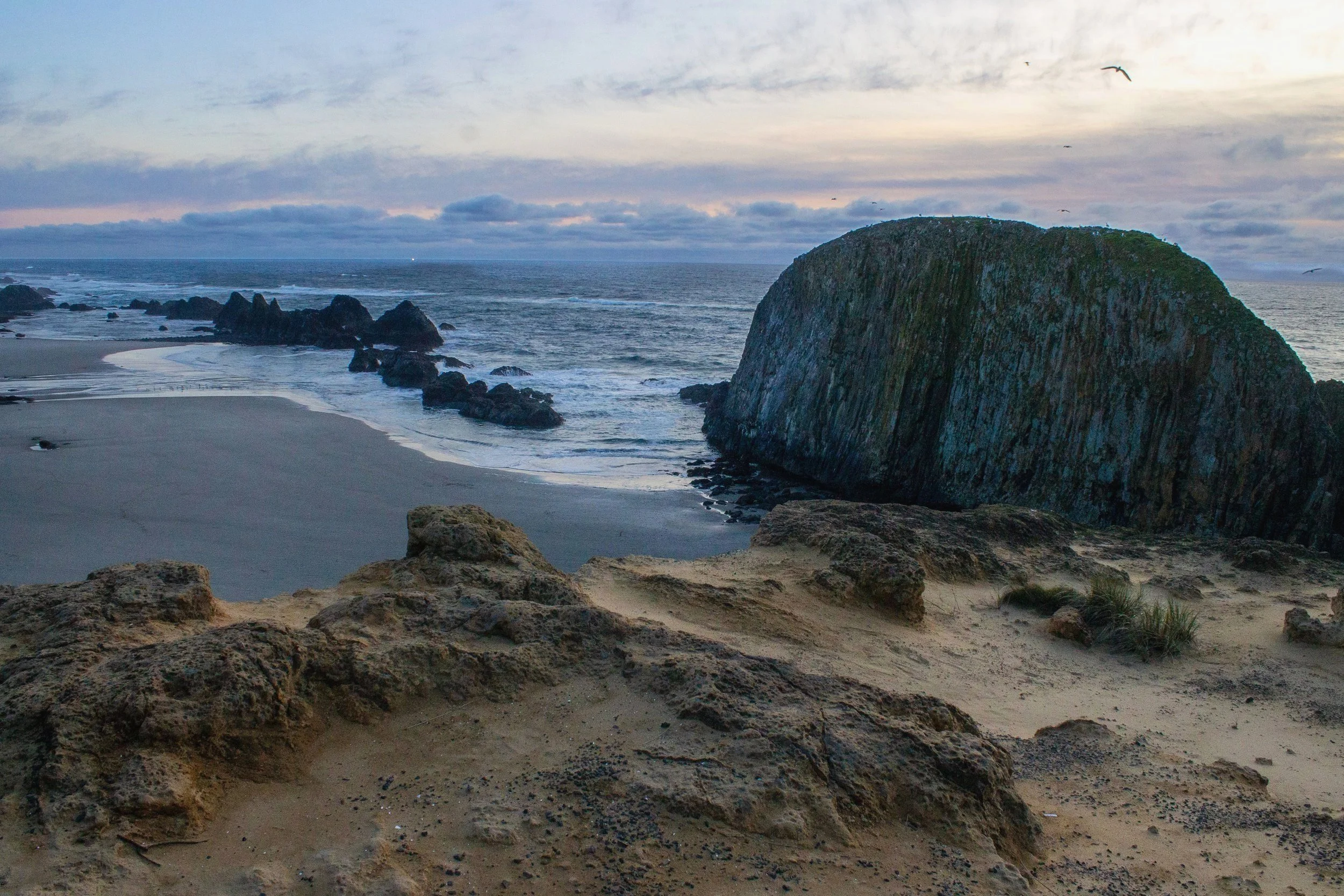 How to Visit Seal Rock State Recreation Site — Pines and Vines