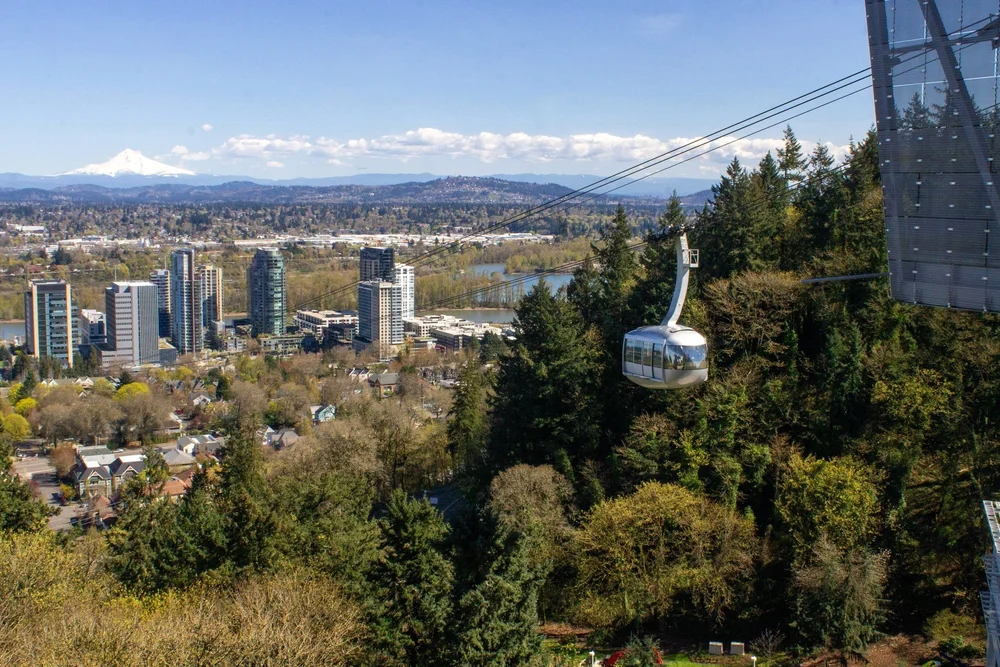Portland’s 4T Trail, Step by Step — Pines and Vines