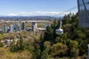 Portland’s 4T Trail, Step by Step — Pines and Vines