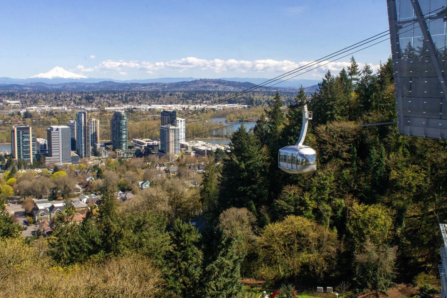 Portland’s 4T Trail, Step by Step — Pines and Vines