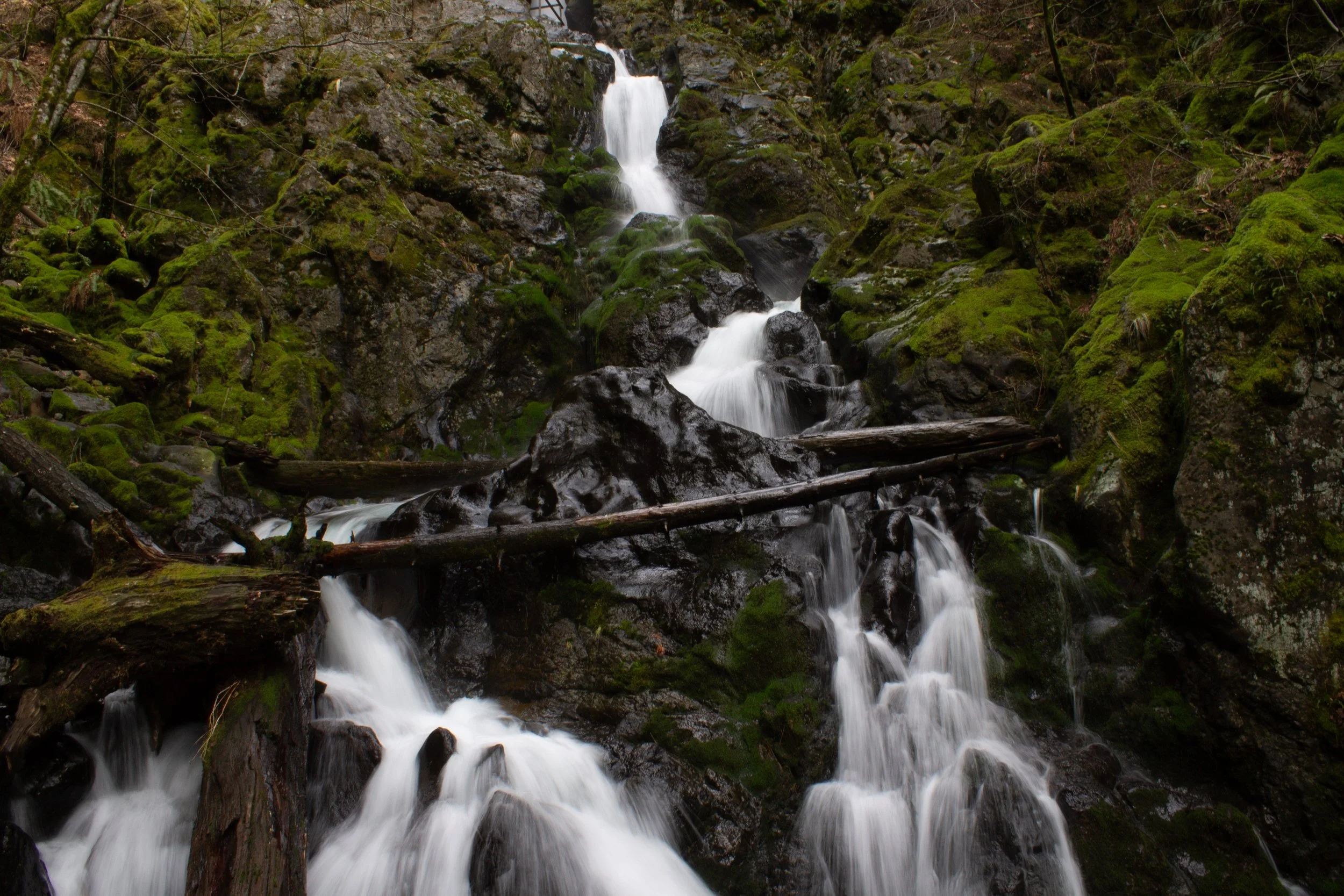 10 Best Waterfalls in Washington’s Columbia Gorge — Pines and Vines