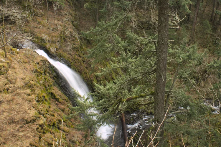 How to Hike to Washington’s Hardy Falls (and beyond!) — Pines and Vines ...