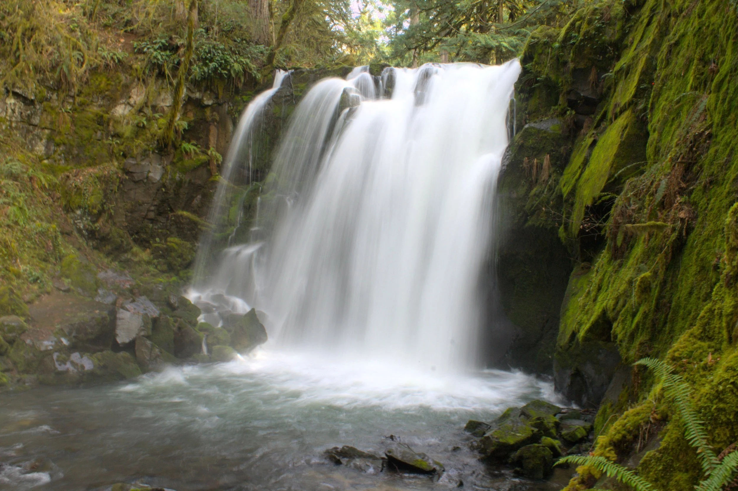 10 Great Spring Hikes near Portland — Pines and Vines