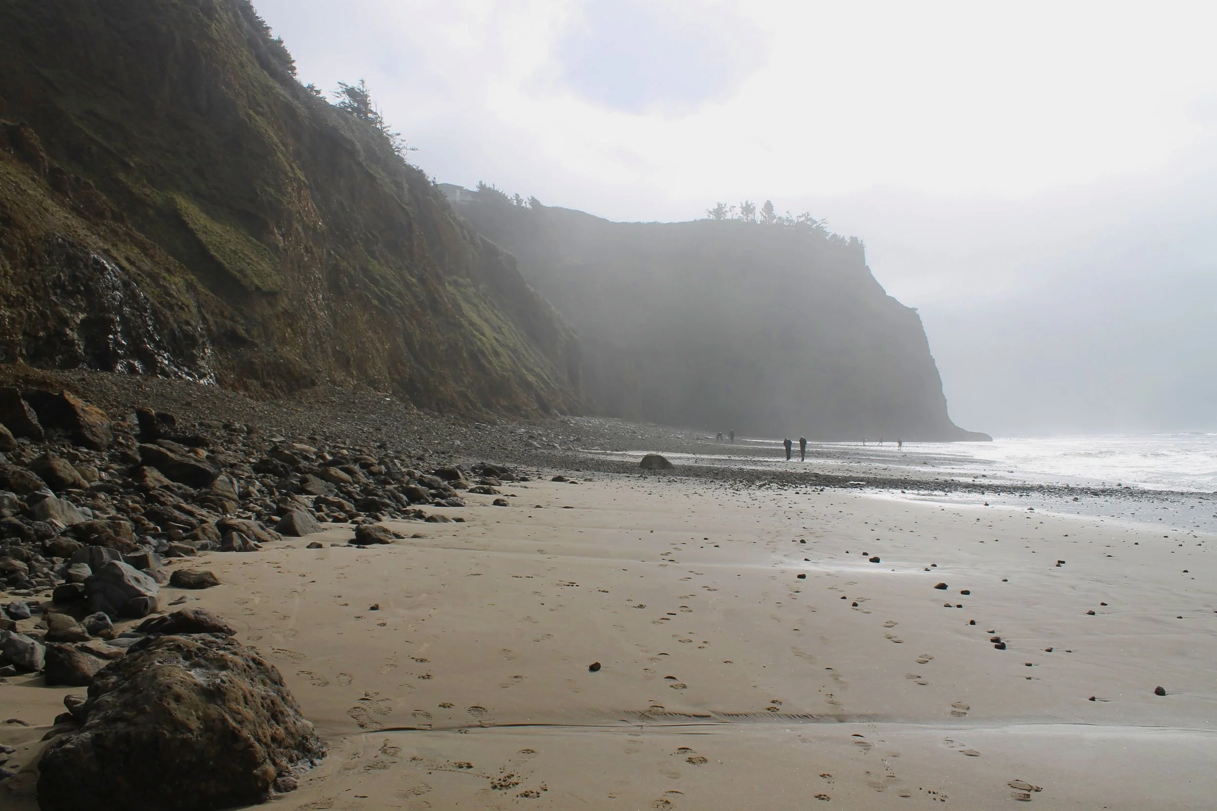 A Day at the Oregon Coast — Pines and Vines