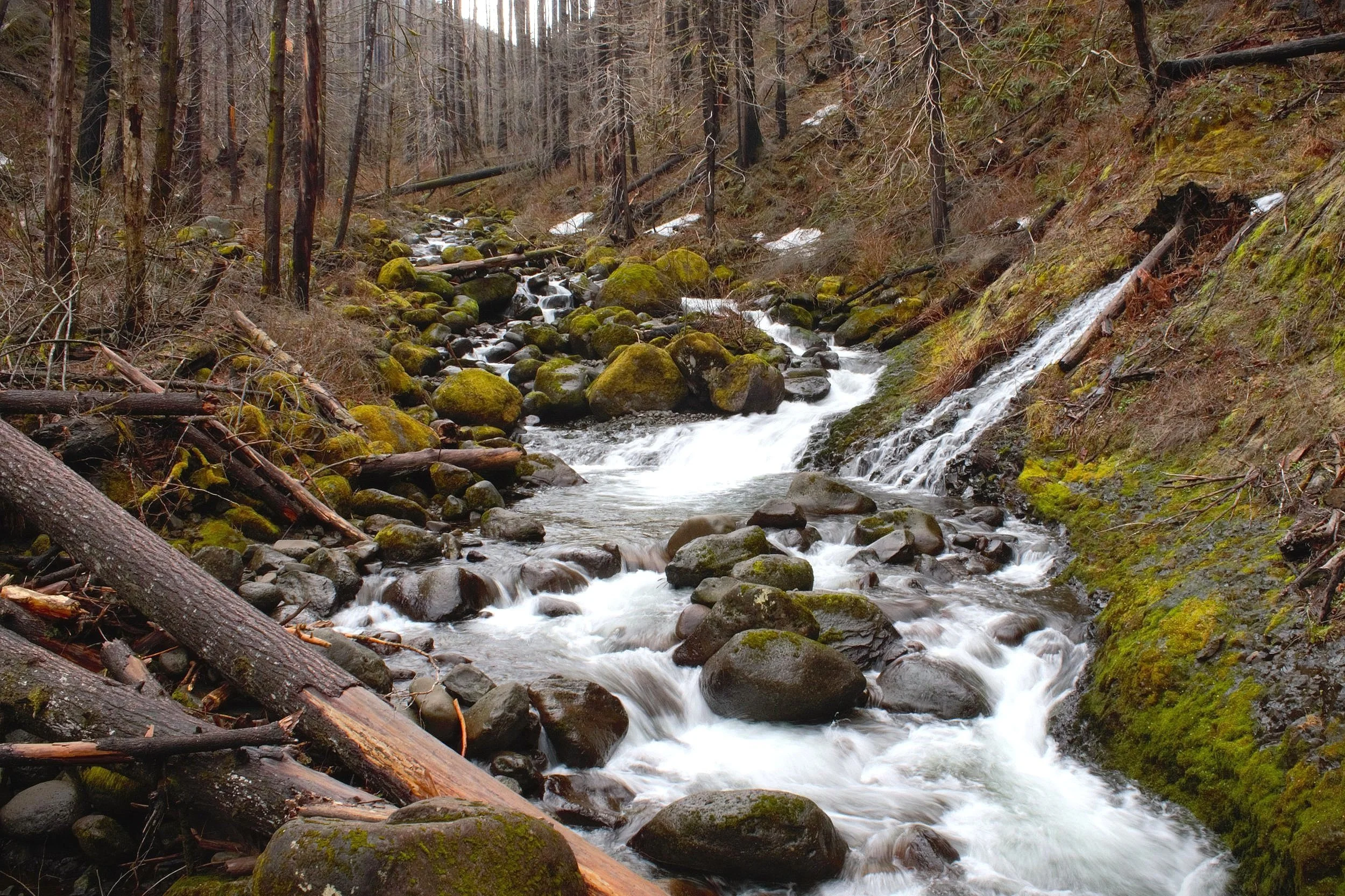 Hike from Horsetail Falls to Triple Falls in the Columbia Gorge — Pines ...