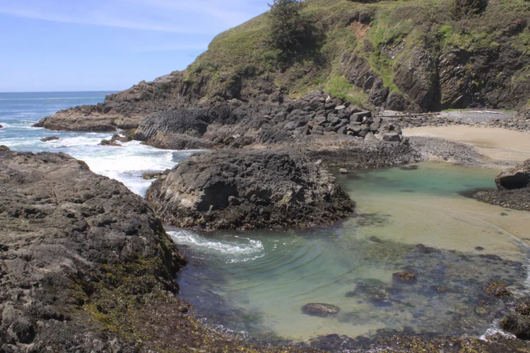 7 Fun Things to Do at Yaquina Head Outstanding Natural Area — Pines and ...