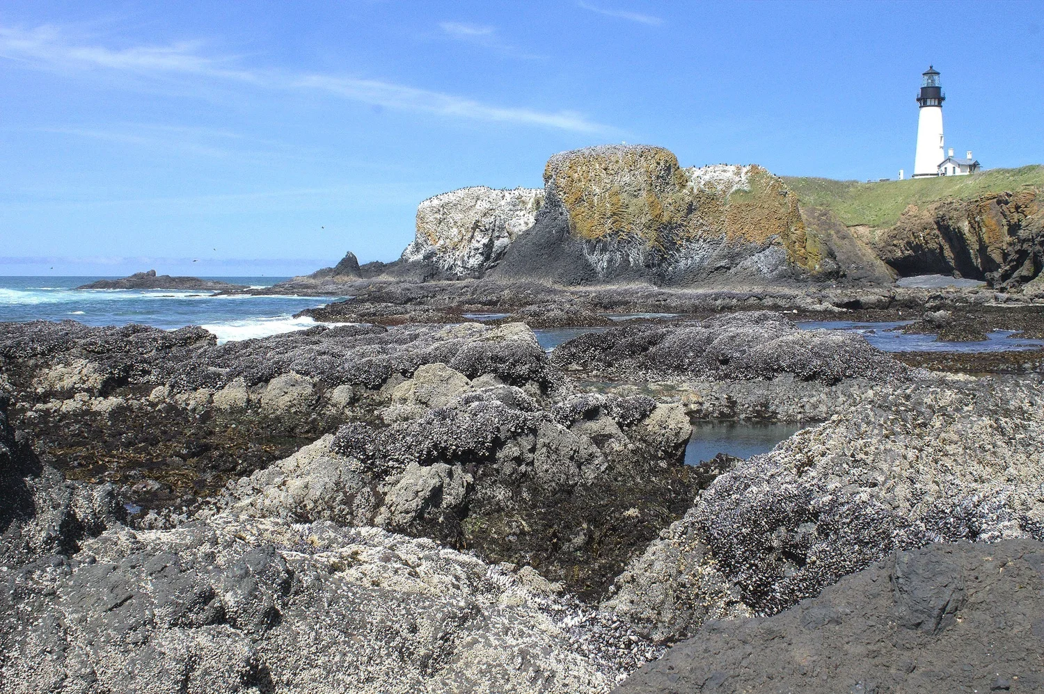 7 Fun Things to Do at Yaquina Head Outstanding Natural Area — Pines and Vines