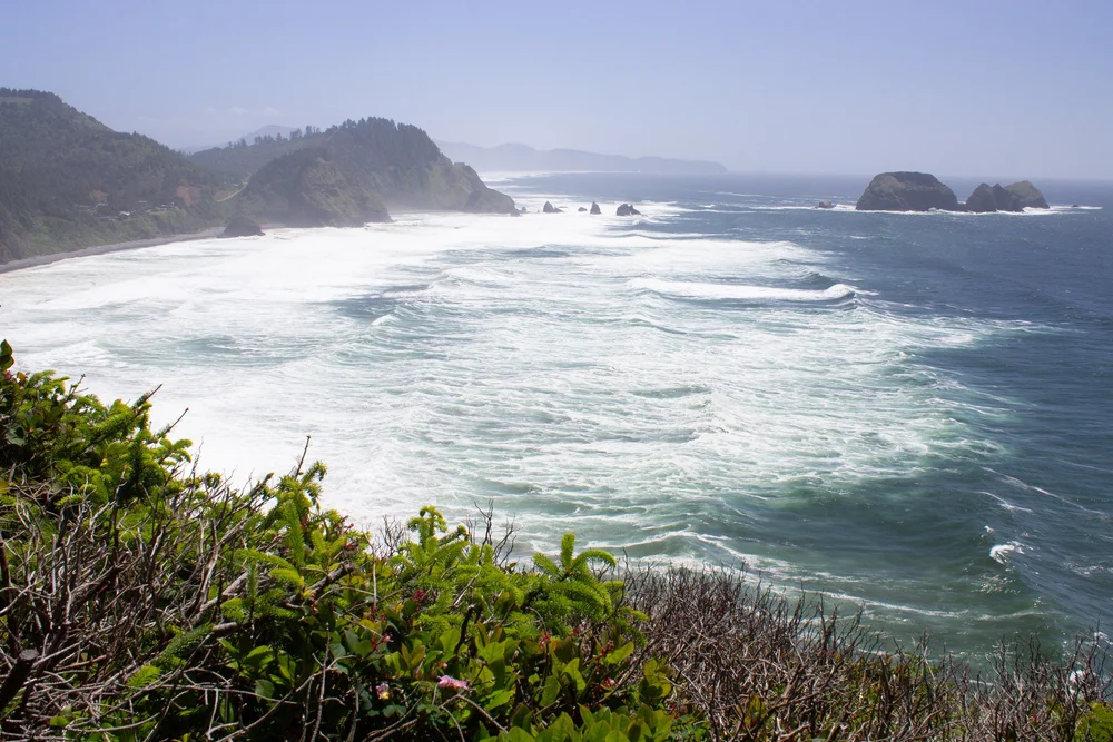 Quick Guide to Cape Meares State Scenic Viewpoint — Pines and Vines