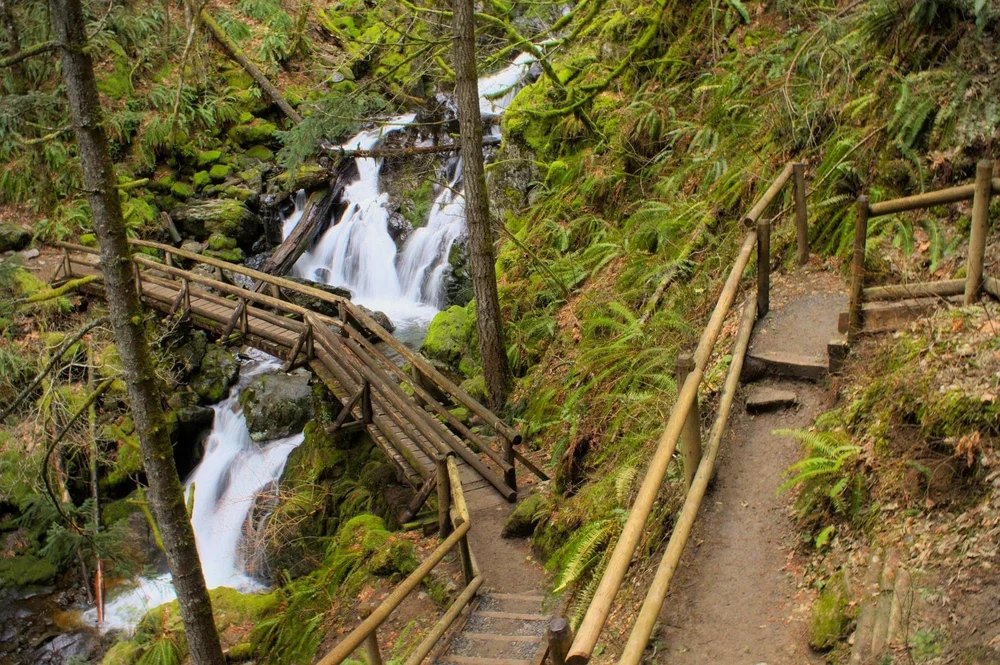 How to Hike to Washington’s Hardy Falls (and beyond!) — Pines and Vines ...