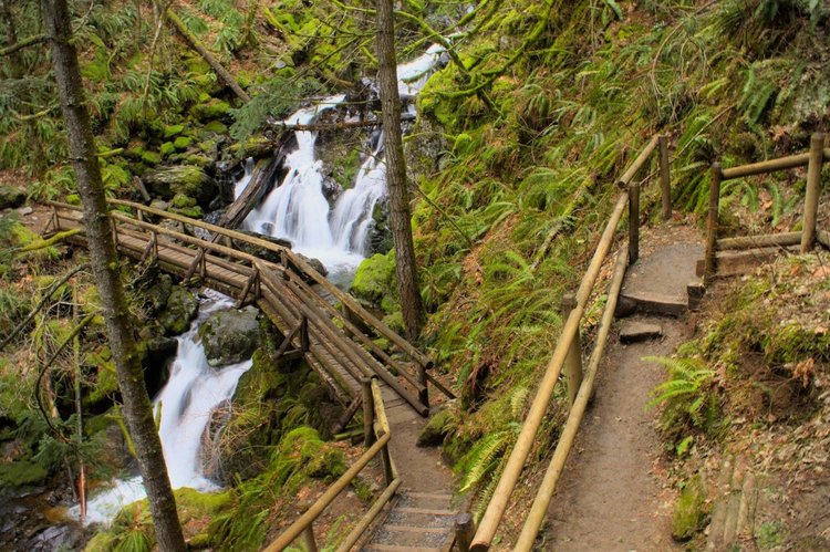 How to Hike to Washington’s Hardy Falls (and beyond!) — Pines and Vines ...