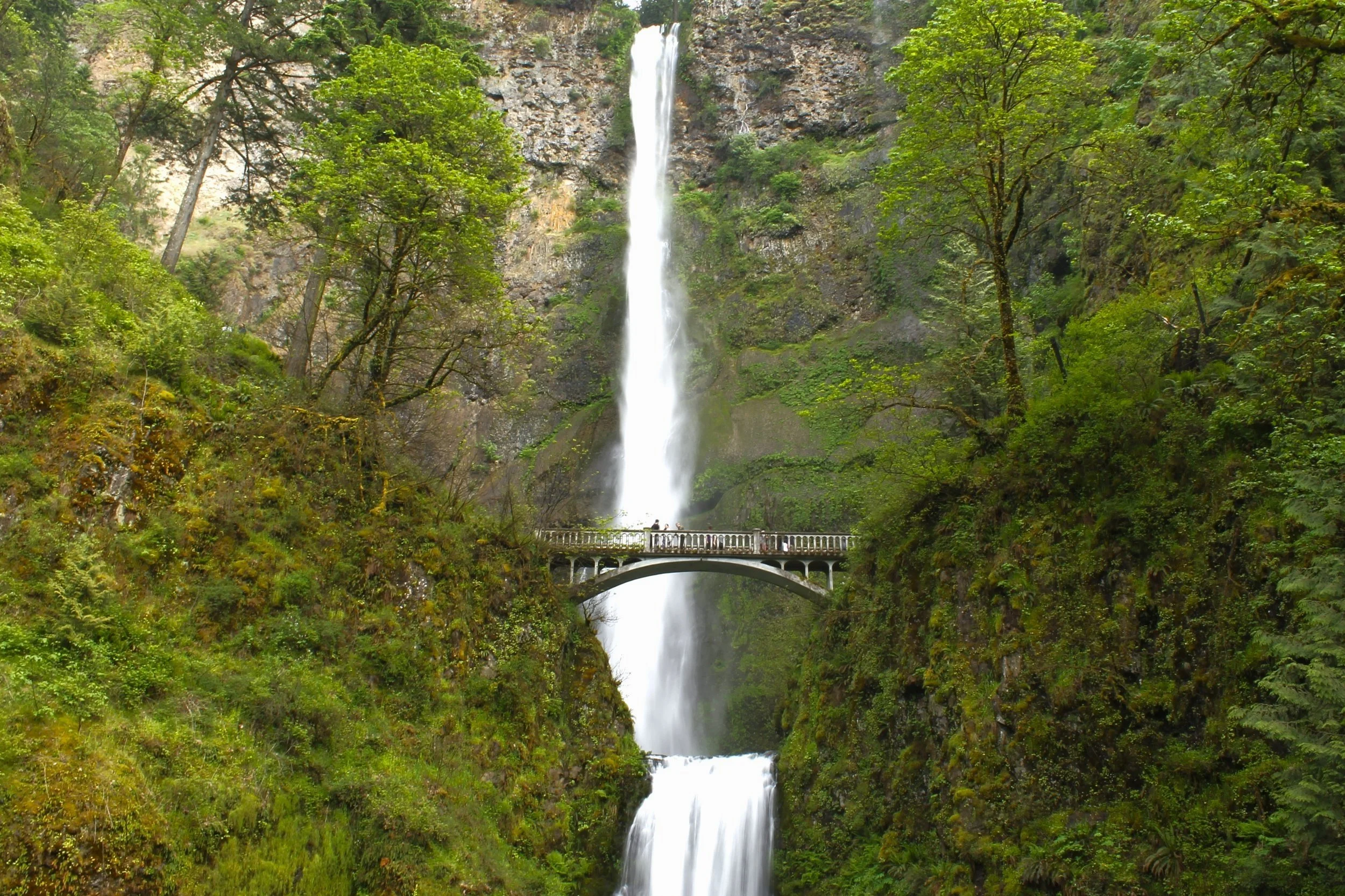 Annual Recreation Passes of Oregon and Washington — Pines and Vines ...