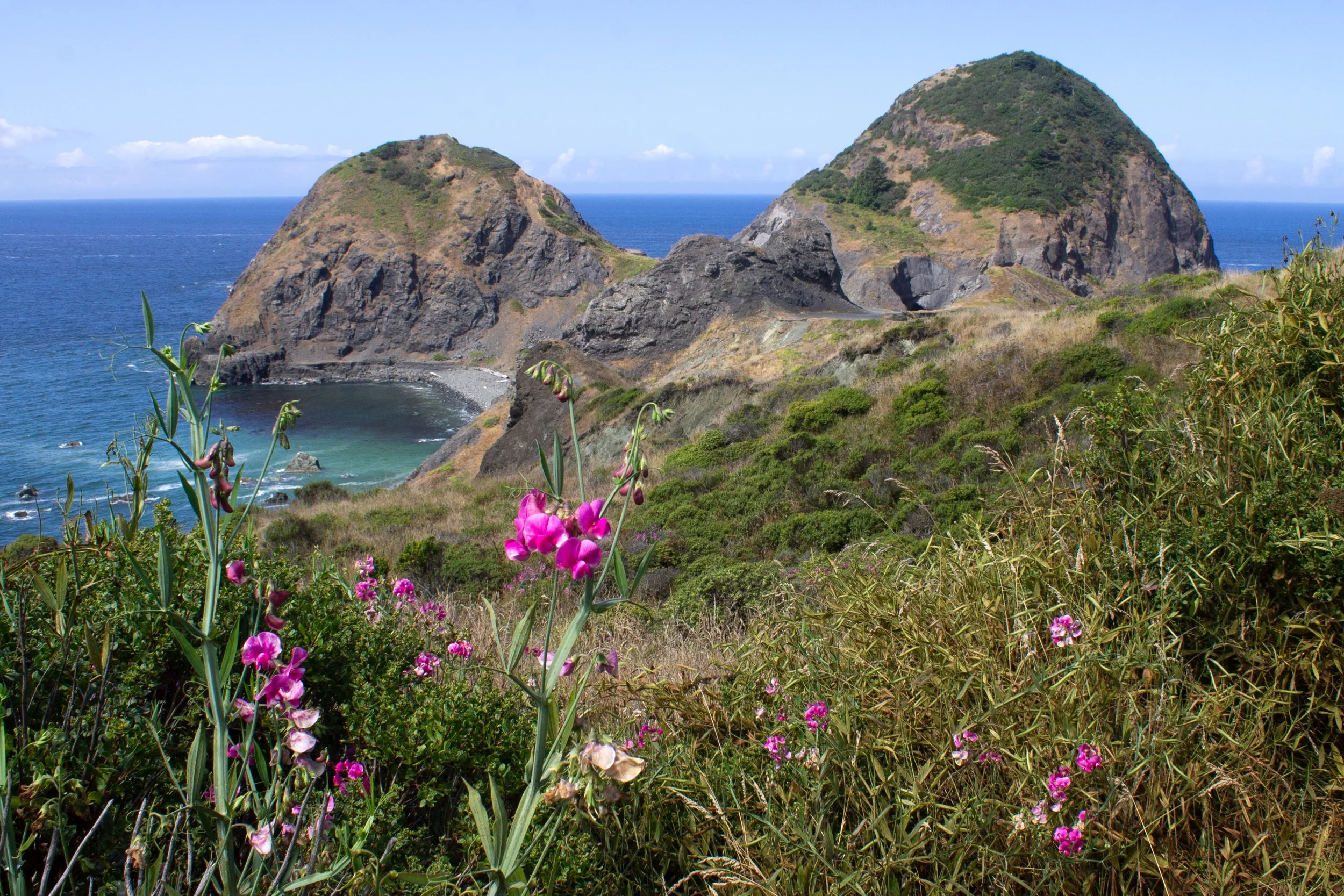Quick Guide to Sisters Rock State Park on the Oregon Coast — Pines and ...