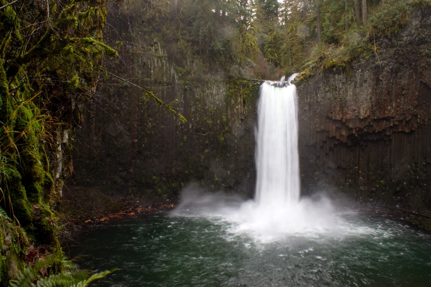 Detailed Directions to Abiqua Falls — Pines and Vines