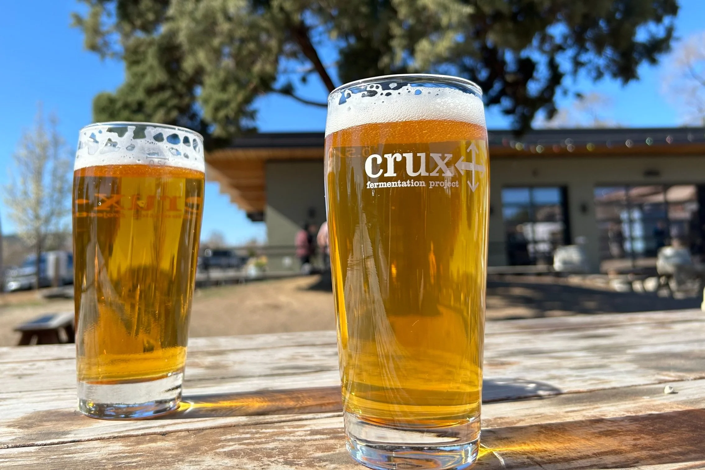 20 Fun Things to Do in Bend, Oregon — Pines and Vines