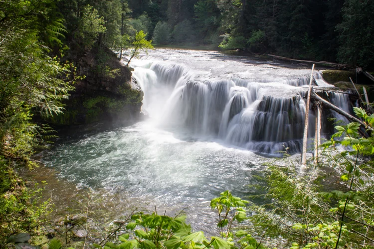 15 Best Swimming Holes and Beaches near Portland — Pines and Vines