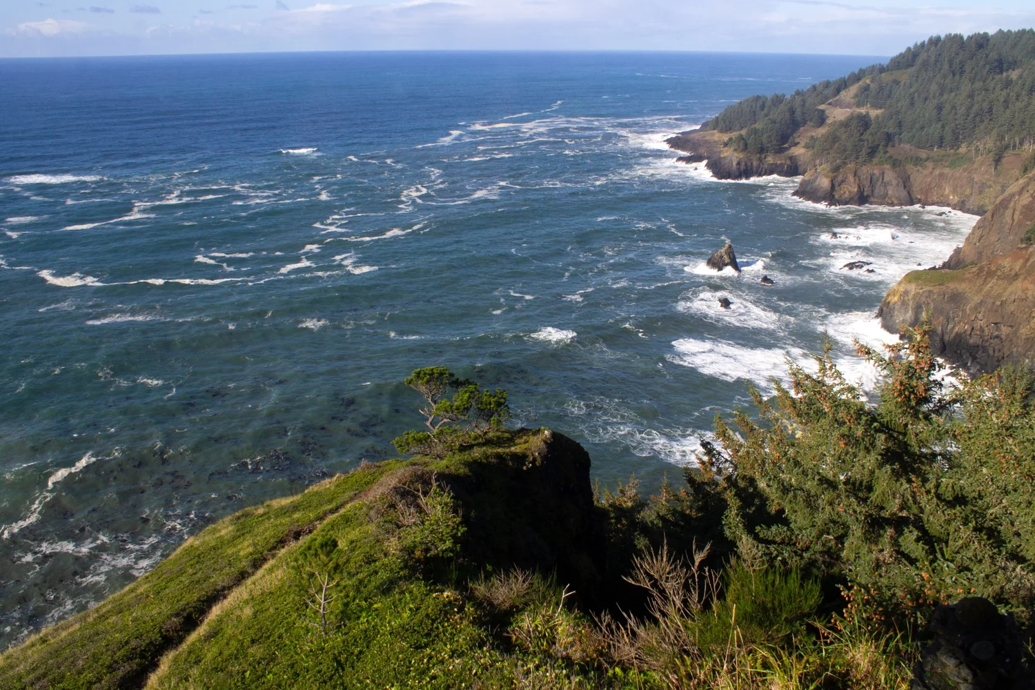 How to Watch Oregon’s King Tides in 2025-2026 — Pines and Vines