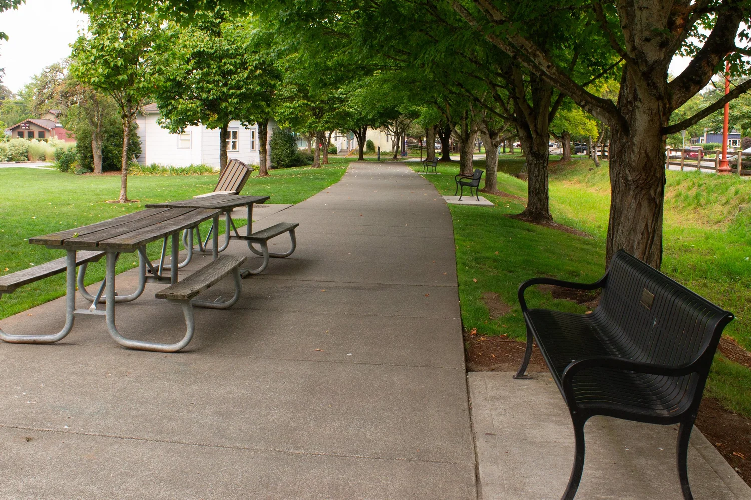 How to See Issaquah’s Giant Troll — Pines and Vines