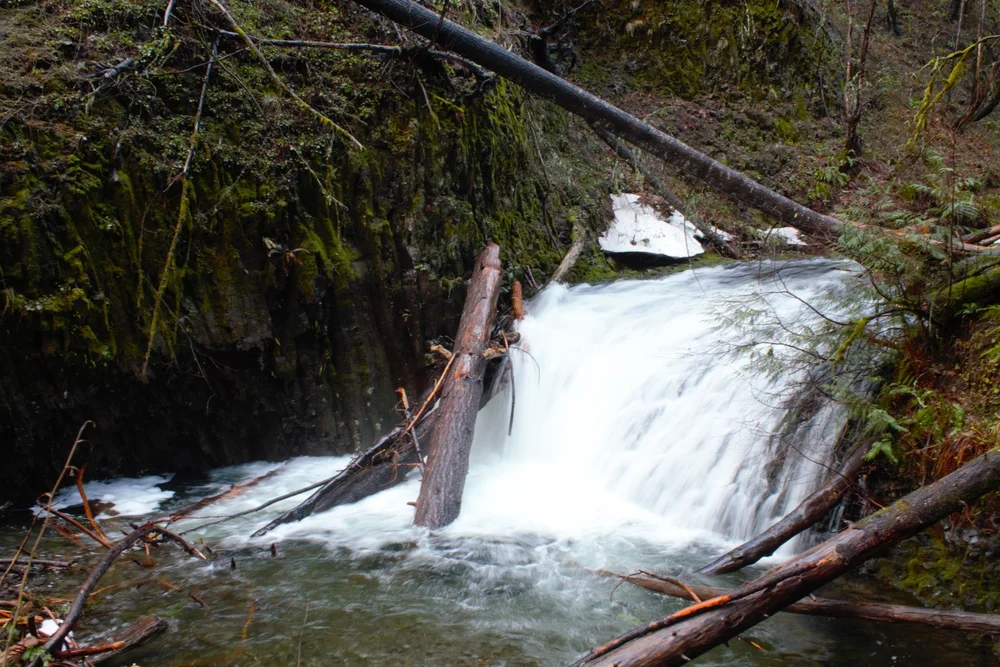Multnomah Falls - Wahkeena Falls Loop Hike — Pines and Vines — Pines ...