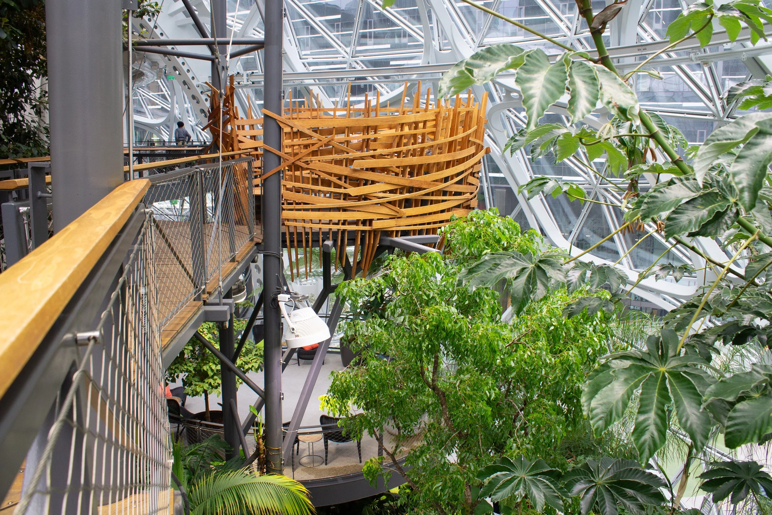 Quick Guide to the Seattle Spheres — Pines and Vines