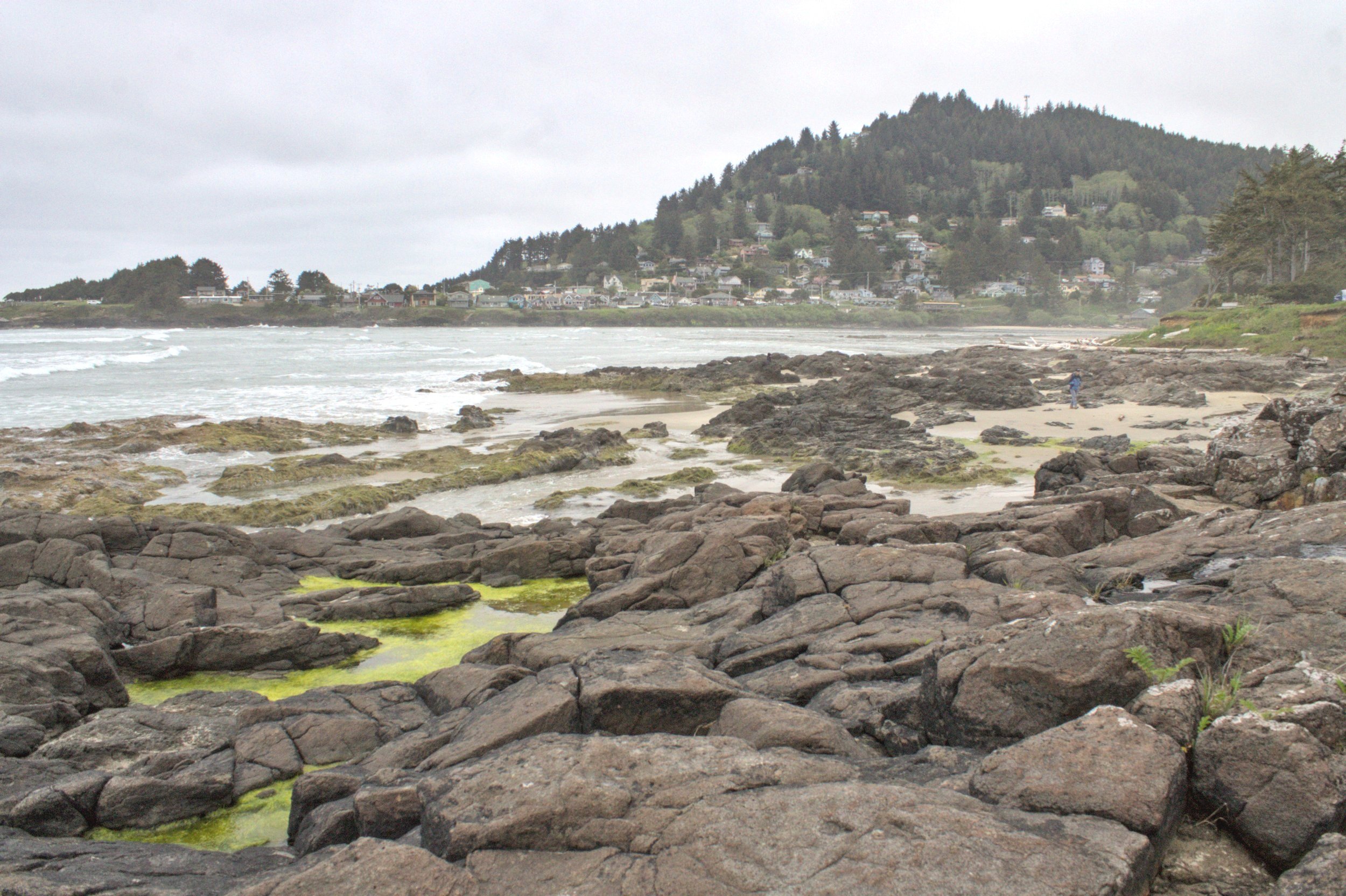 18 Fun Things to Do in Yachats, Oregon — Pines and Vines