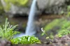 20 Best Waterfall Hikes Near Portland — Pines and Vines