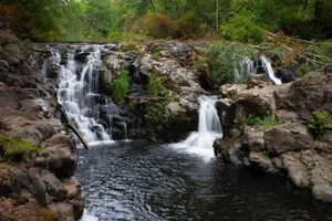 Quick Guide to Moulton Falls Regional Park — Pines and Vines