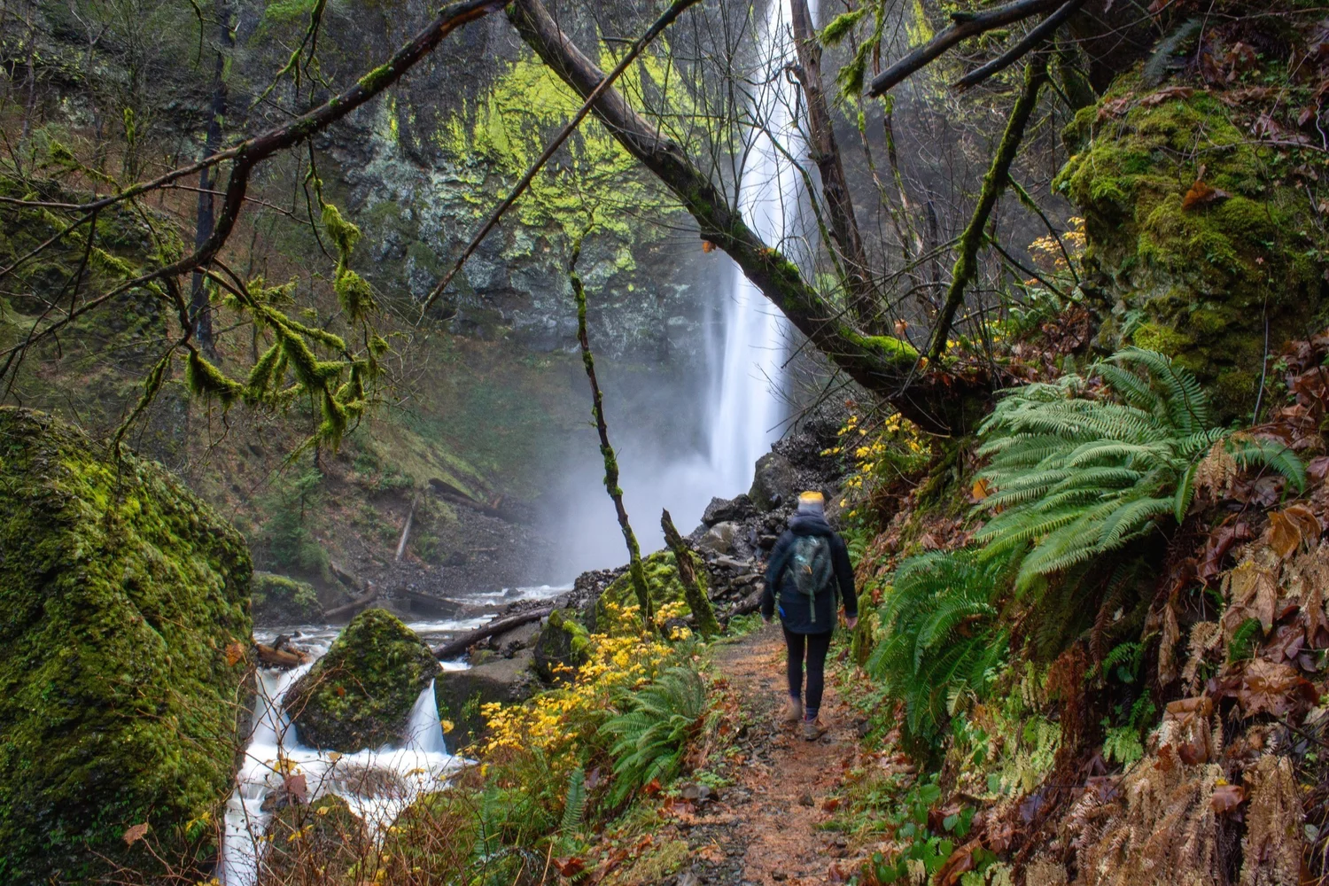 20 Best Waterfall Hikes Near Portland — Pines and Vines