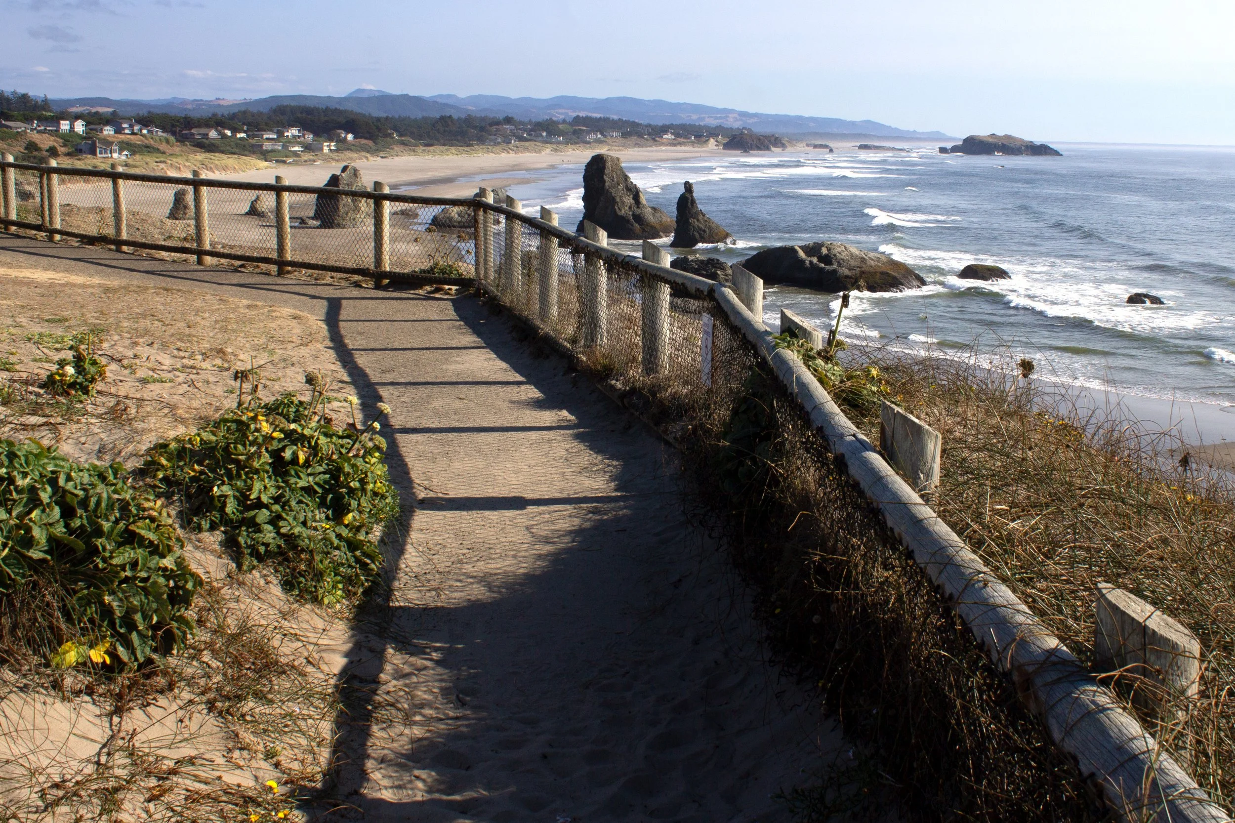 20 Most Stunning Beaches on the Oregon Coast — Pines and Vines