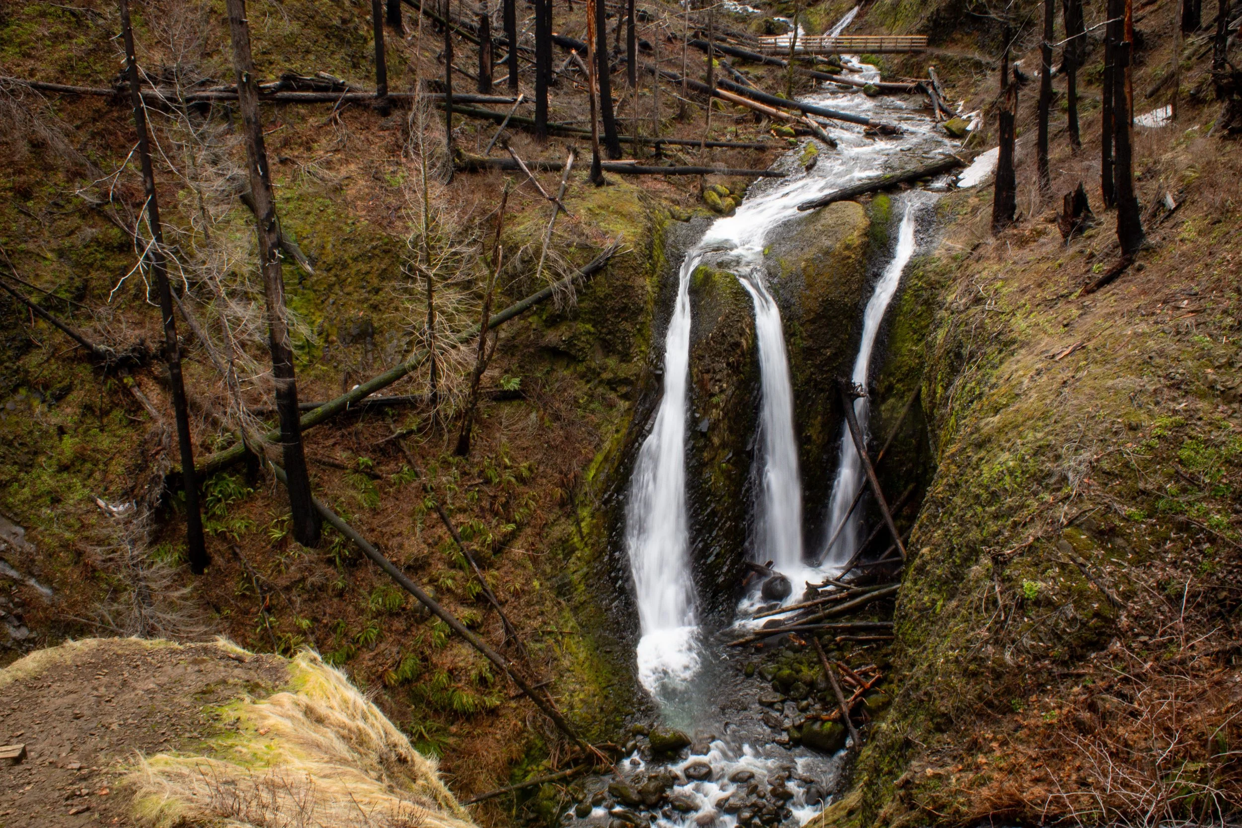 Horsetail Falls to Triple Falls Hike — Pines and Vines