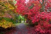 35 Fun Free Things to Do in Portland — Pines and Vines