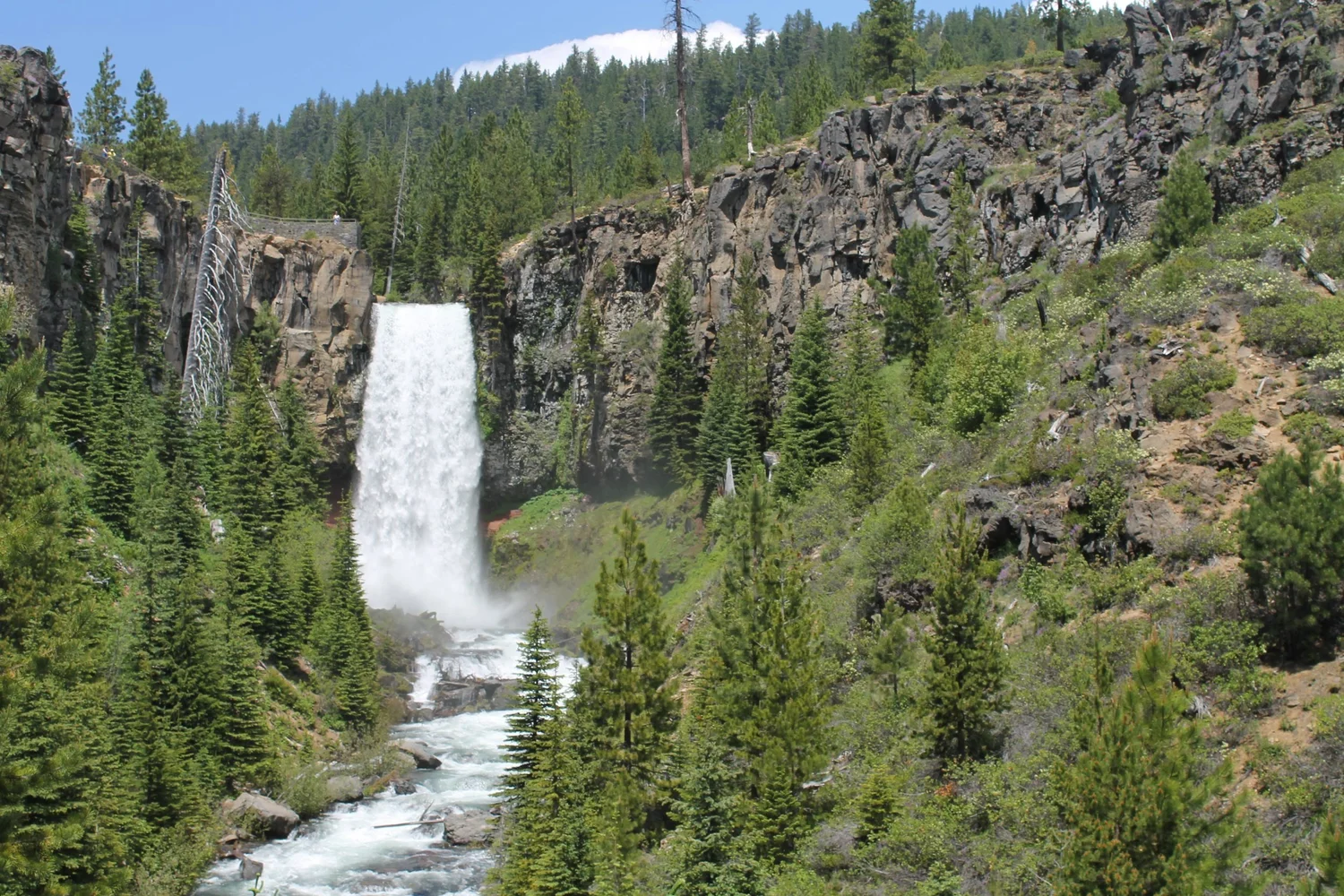 20 Fun Things to Do in Bend, Oregon — Pines and Vines
