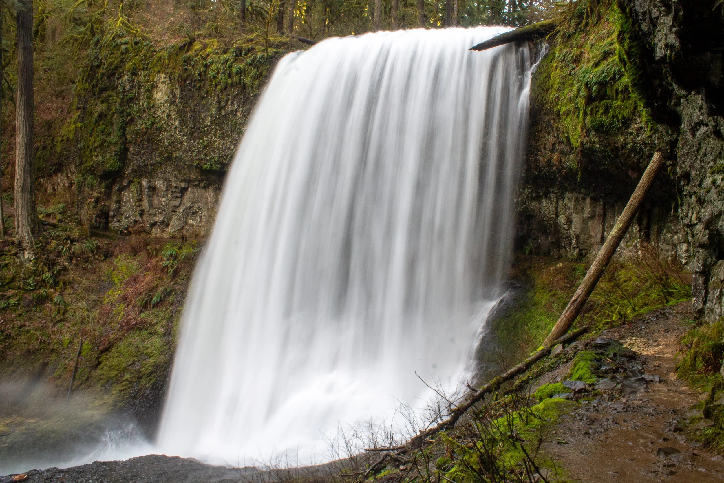 7 Incredible Waterfall Hikes at Silver Falls State Park — Pines and Vines