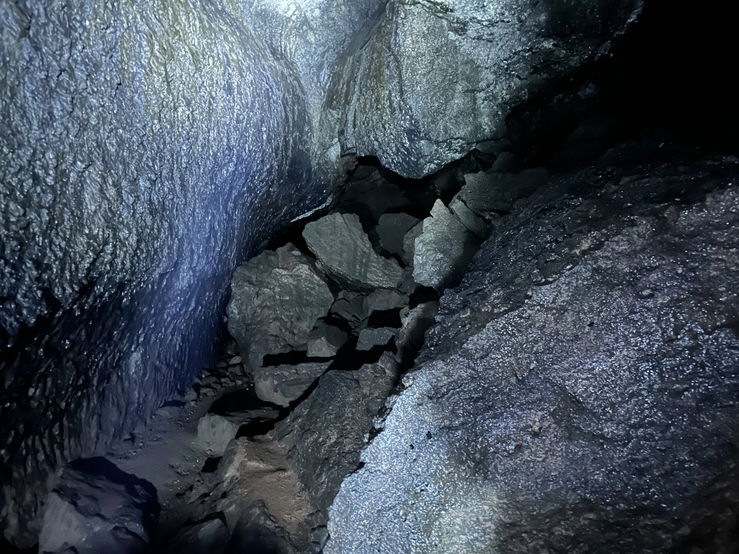 How to See the Ape Cave — Pines and Vines